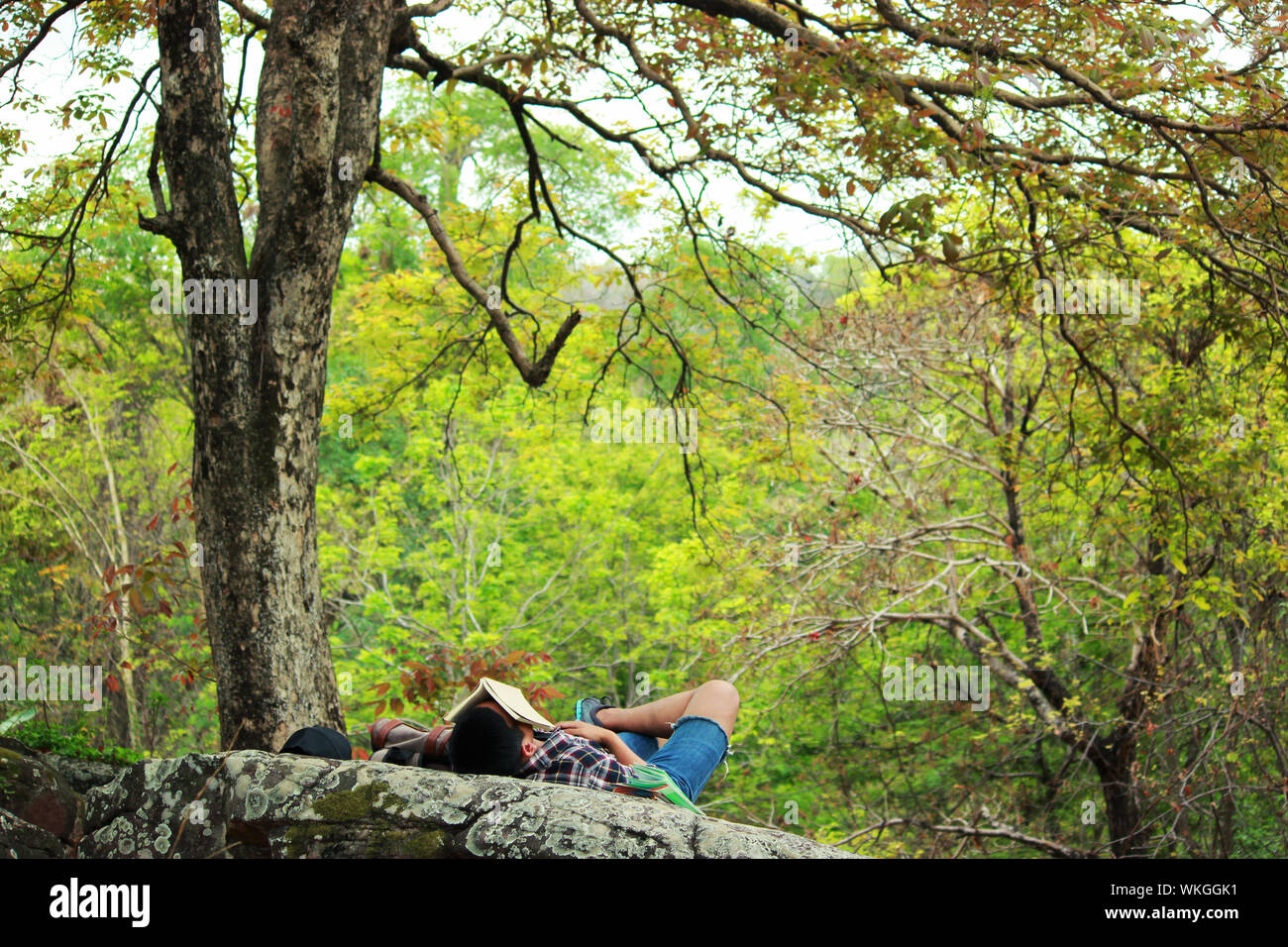 Man sleeping in the forest hi-res stock photography and images - Alamy