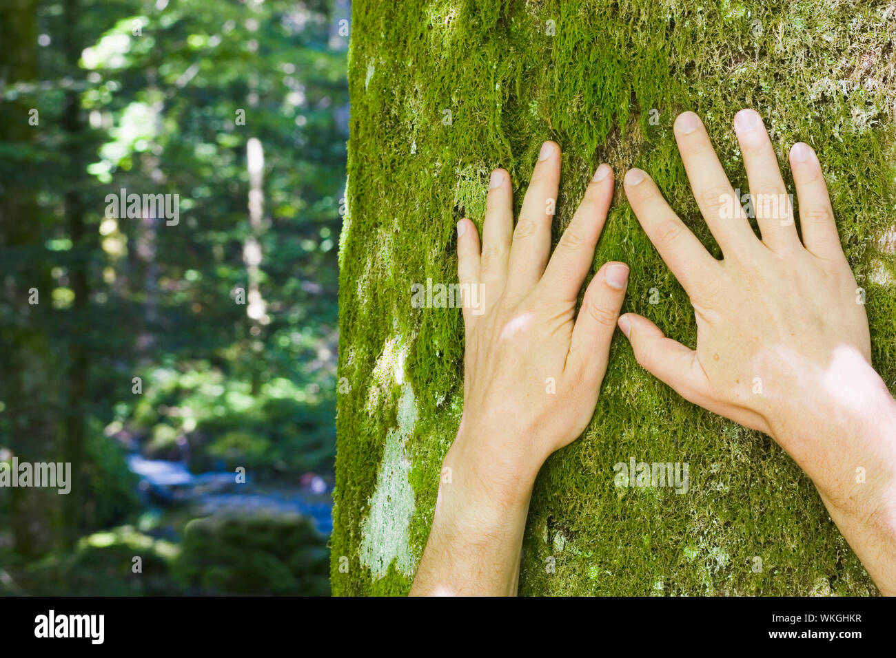 Protecting the nature Stock Photo - Alamy