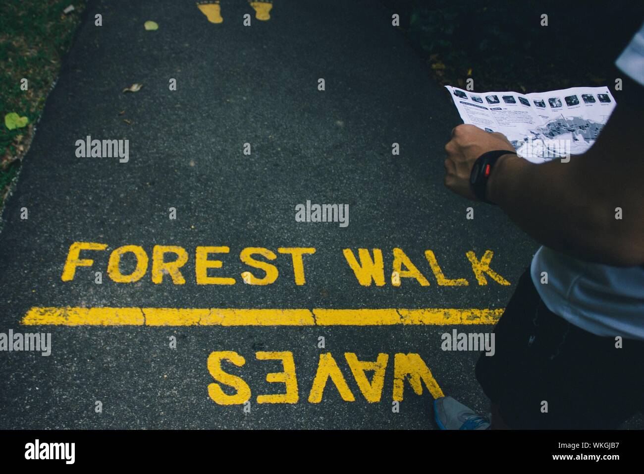 Man reading map hi-res stock photography and images - Alamy