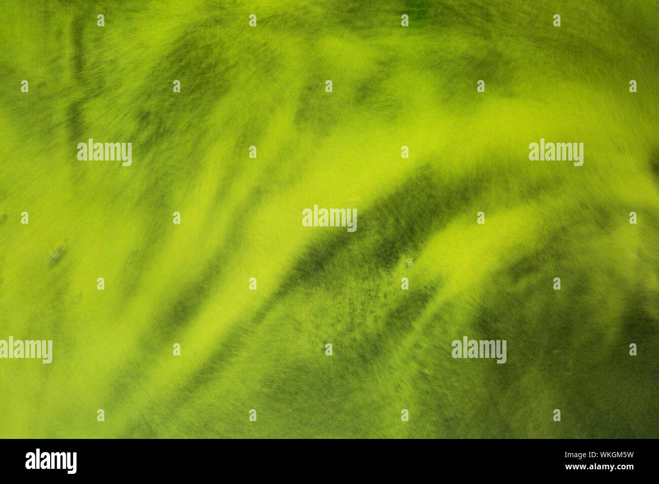 After a long dry spell, a period of heavy rain caused flooding, pushing ...