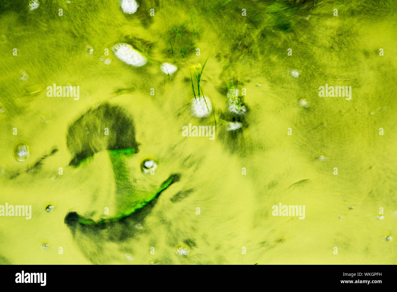 After a long dry spell, a period of heavy rain caused flooding, pushing ...