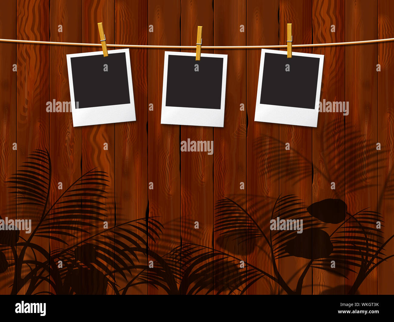 Photo Frames Meaning Text Space And Layout Stock Photo - Alamy