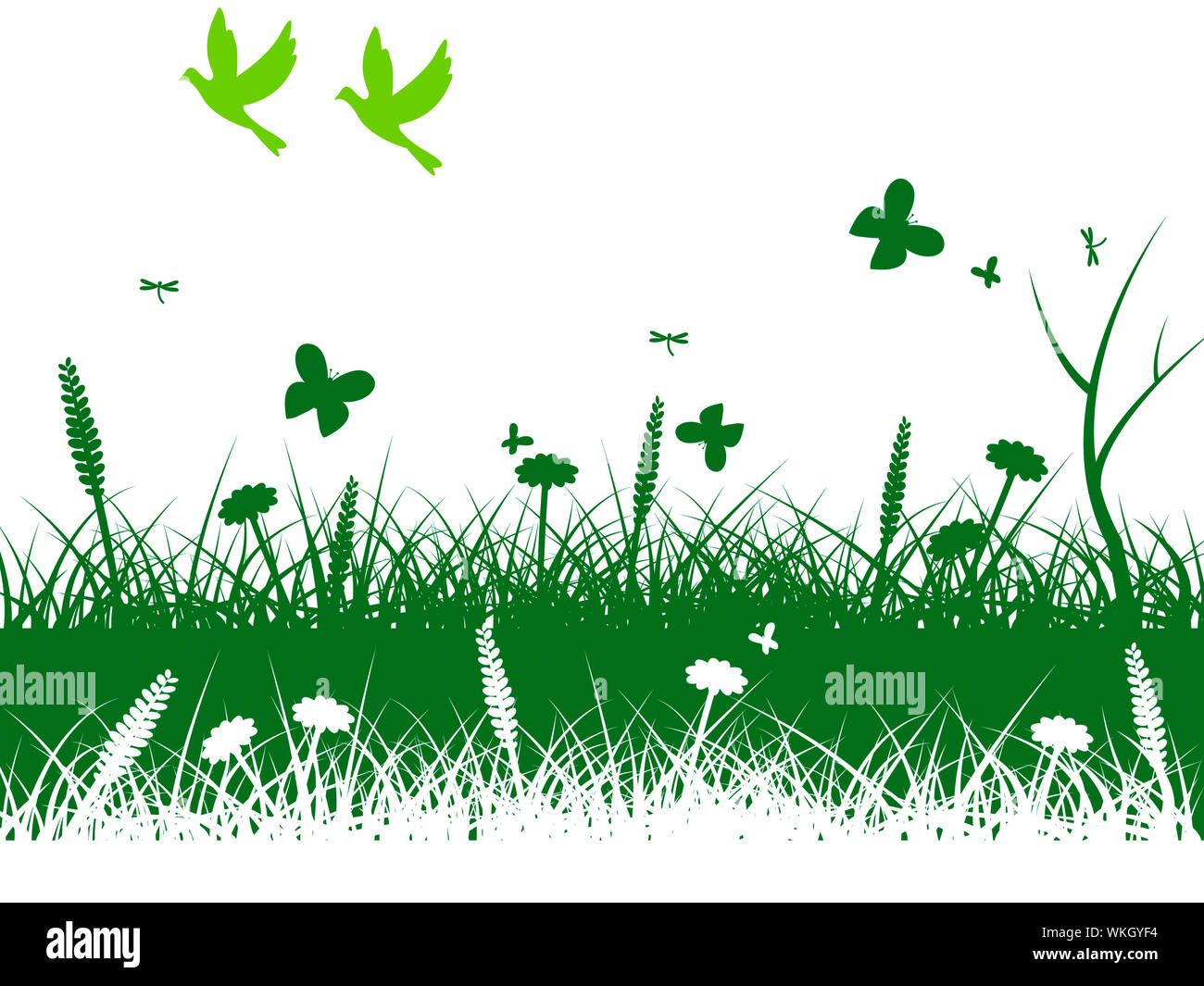 Green grass meadows Cut Out Stock Images & Pictures - Alamy