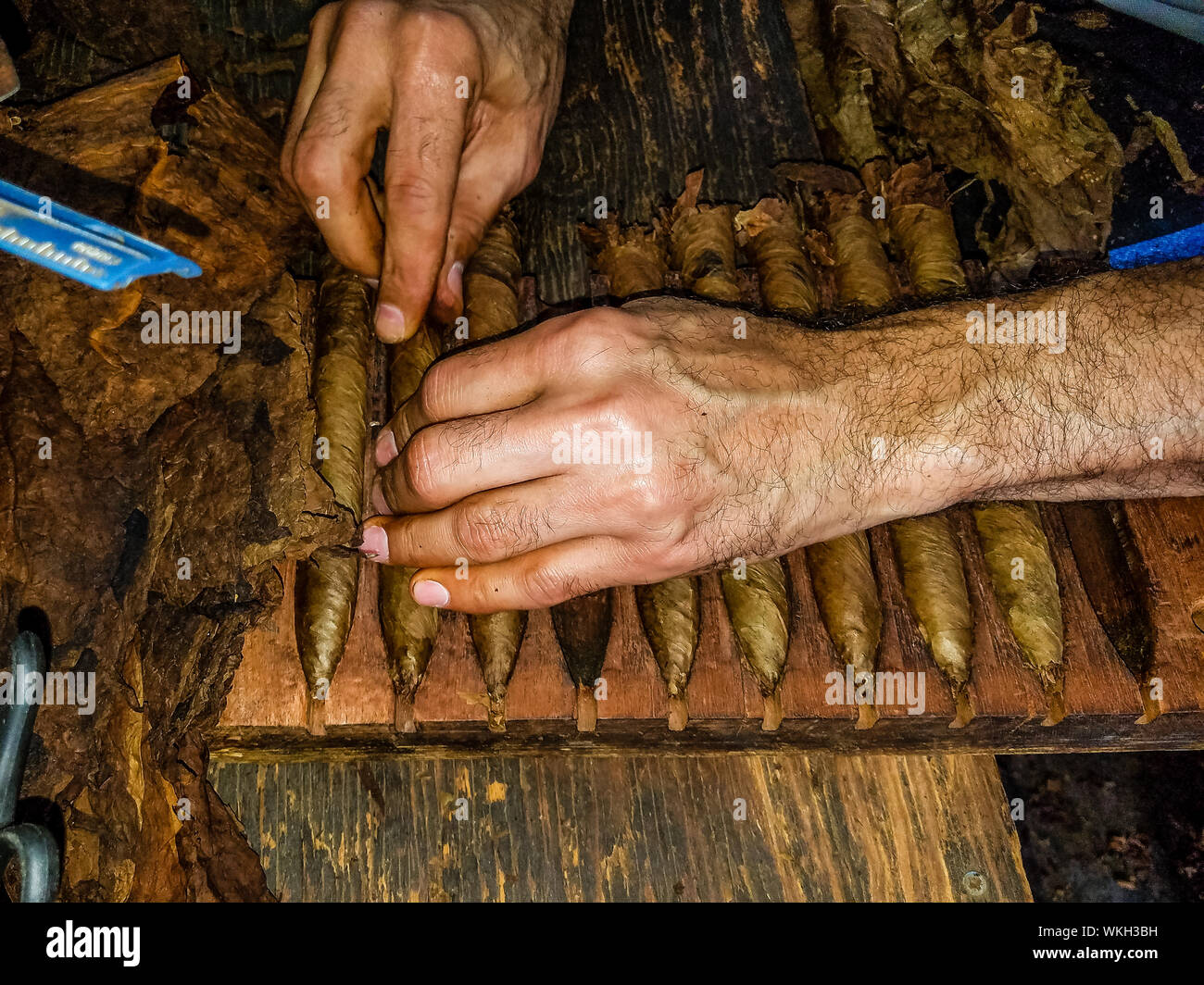 Cigar making hi-res stock photography and images - Alamy