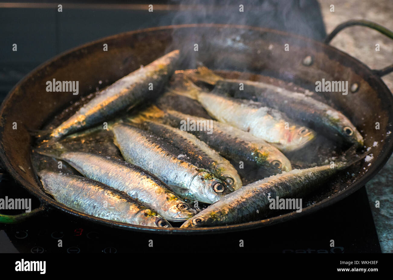 Pilchards hi-res stock photography and images - Alamy