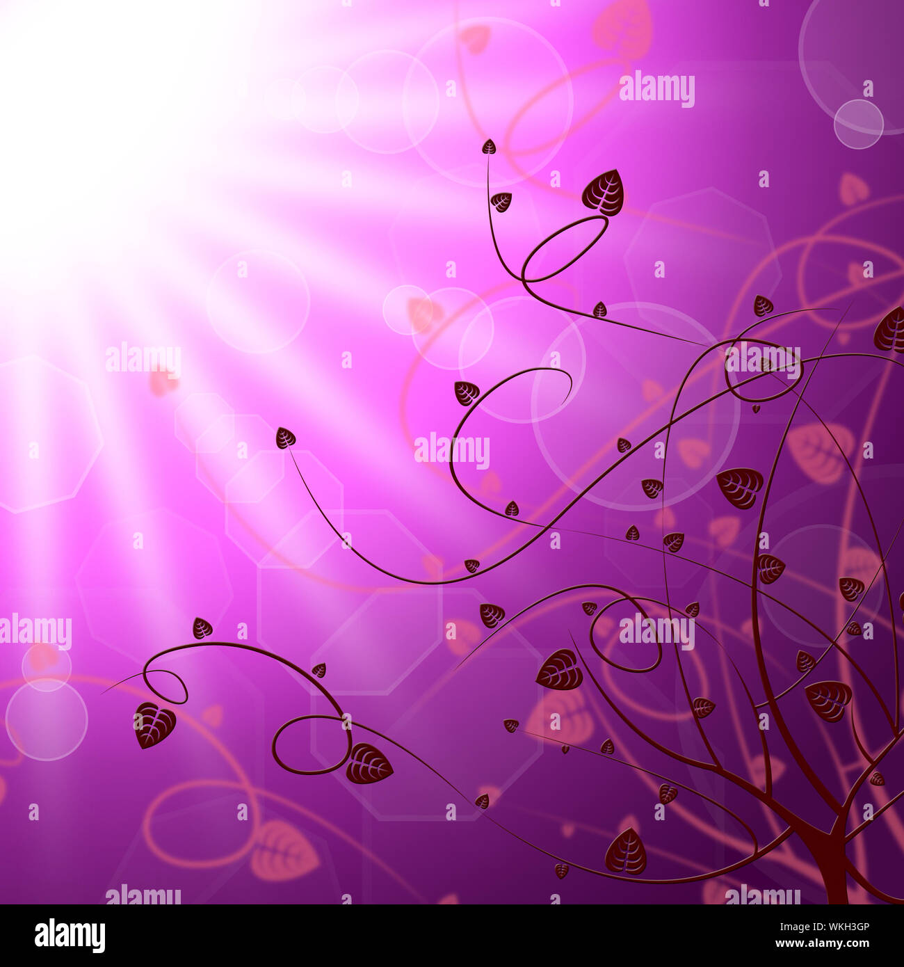 Sunrays Floral Indicating Sunshine Solar And Light Stock Photo - Alamy