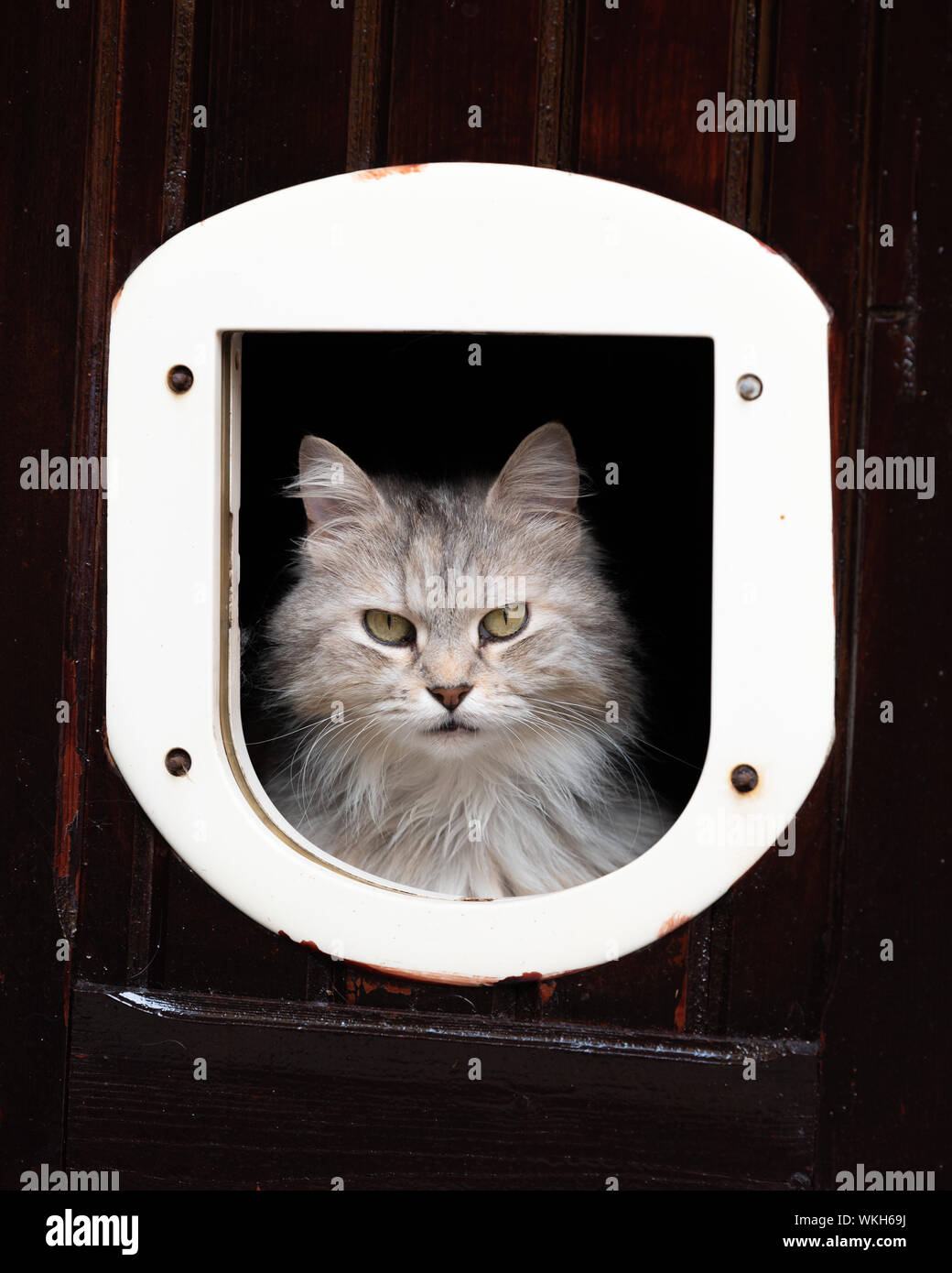 Eye looking through door hi-res stock photography and images - Alamy