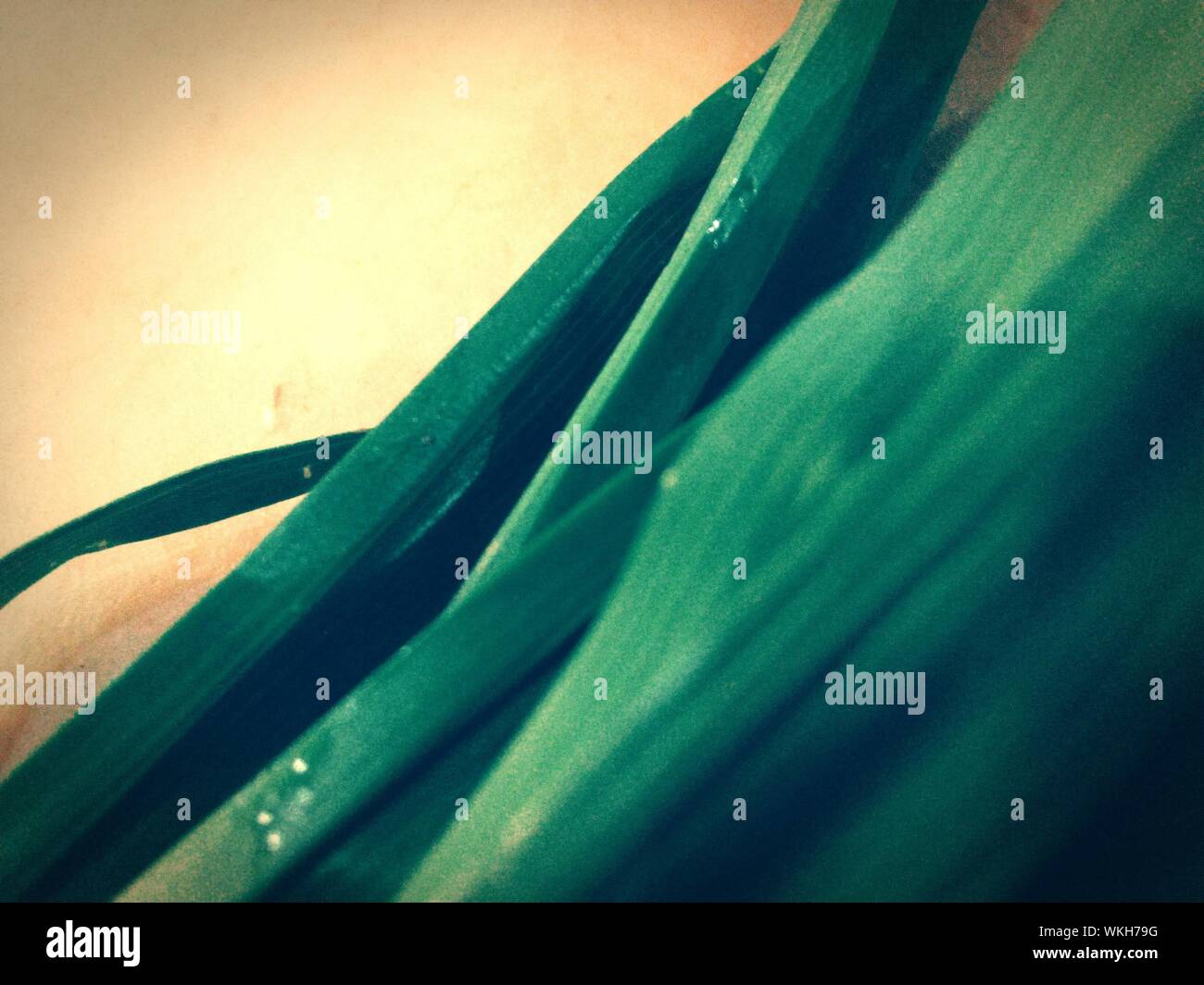 Pandan leaves hi-res stock photography and images - Alamy