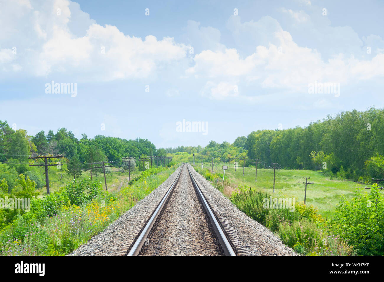 A railway through the summer green fields. Beautiful green railway tree ...