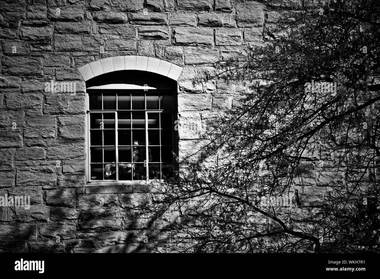 Arch window Black and White Stock Photos & Images - Alamy