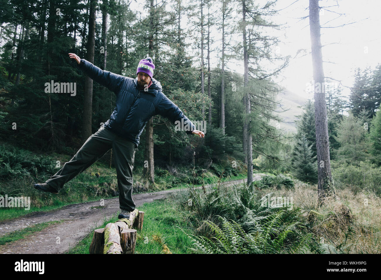 Man balancing log forest hi-res stock photography and images - Alamy
