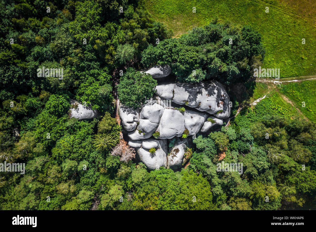 White mountains forest preserve hi-res stock photography and images - Alamy