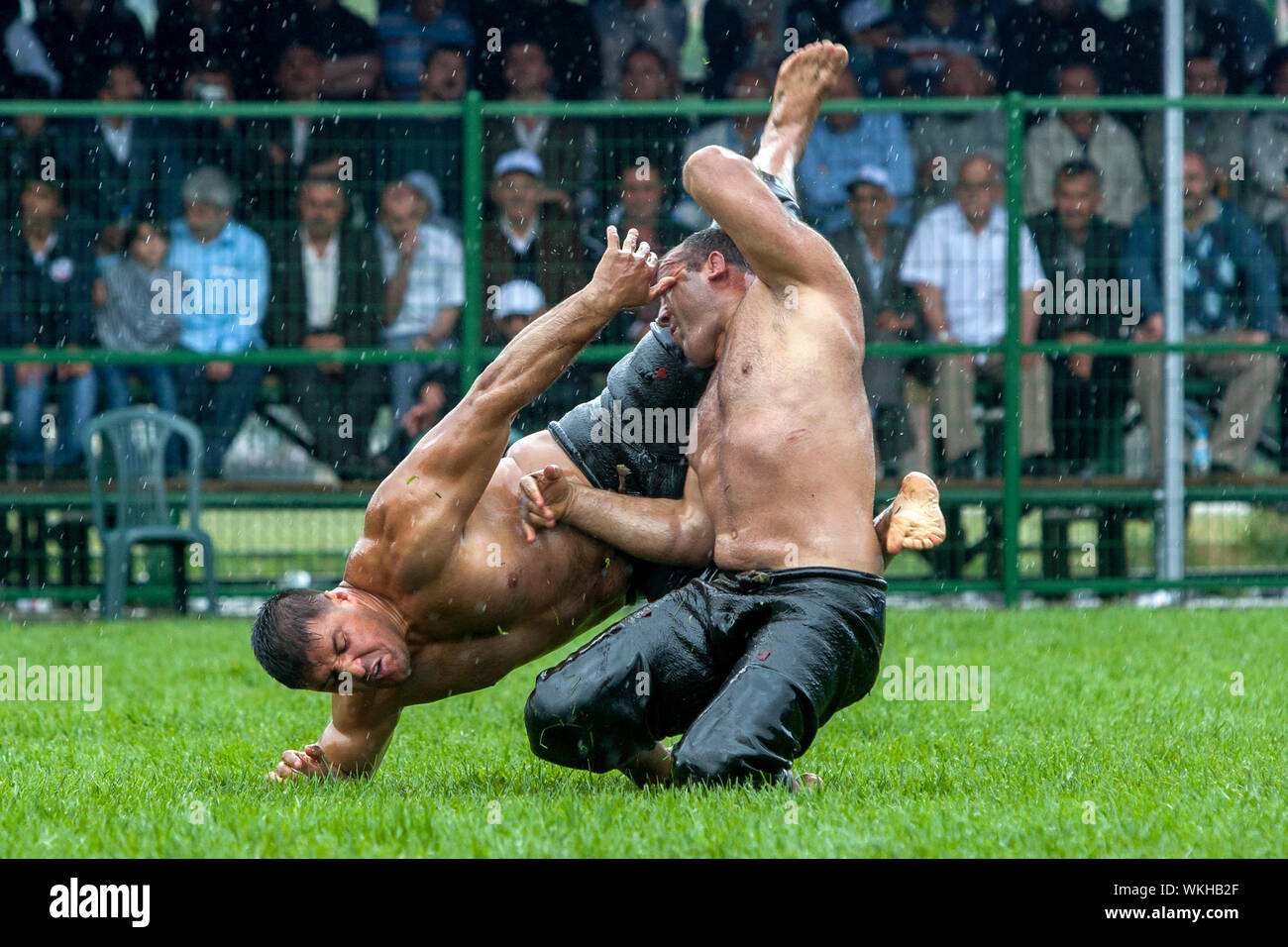 A heavyweight wrestler tosses his opponent to the ground during ...