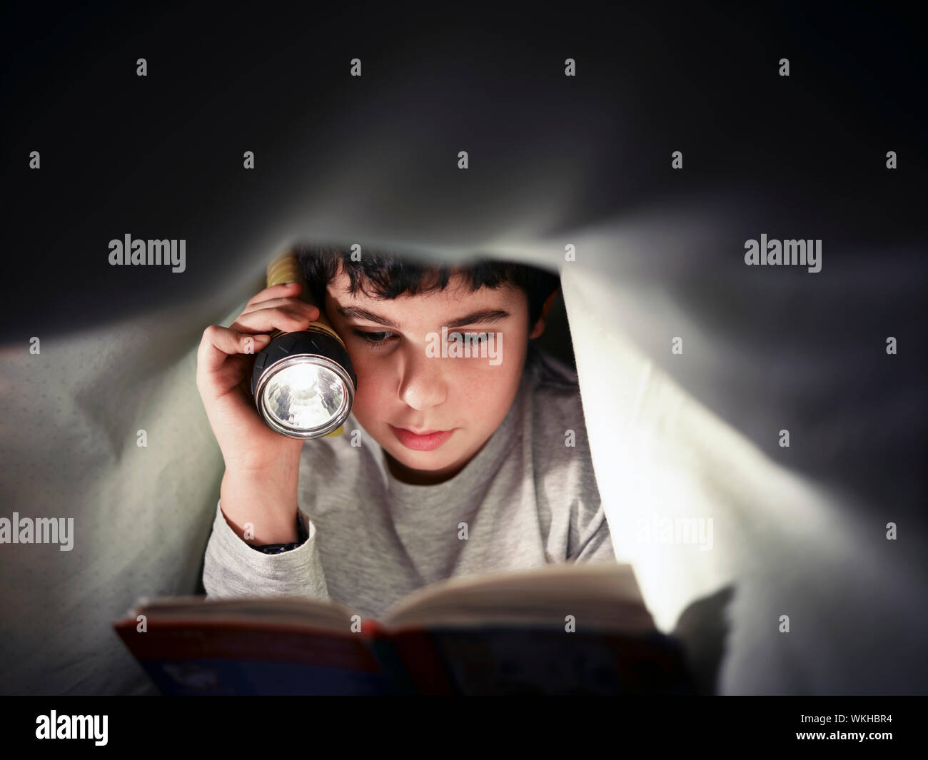 Boy Reading Book Under Covers High Resolution Stock Photography and ...
