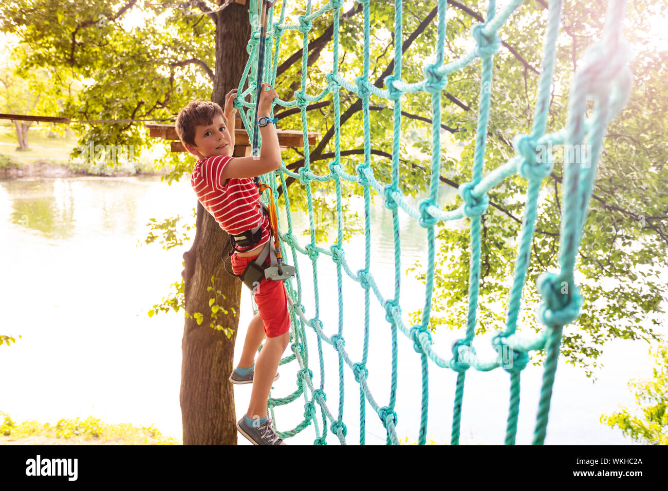 Boy climbing net high on tree at adventure park Stock Photo - Alamy