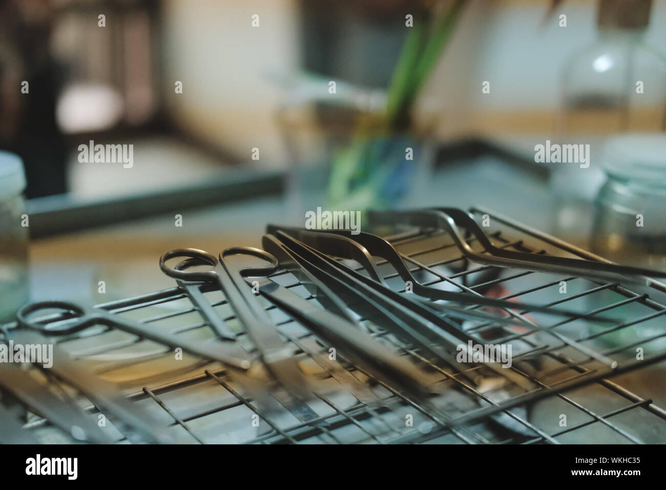 plier knife scissor for plant tissue culture in laboratory Stock Photo ...