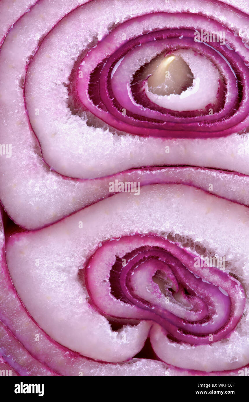 Ripe Red Onion Slice Cross Section closeup as Background Stock Photo ...