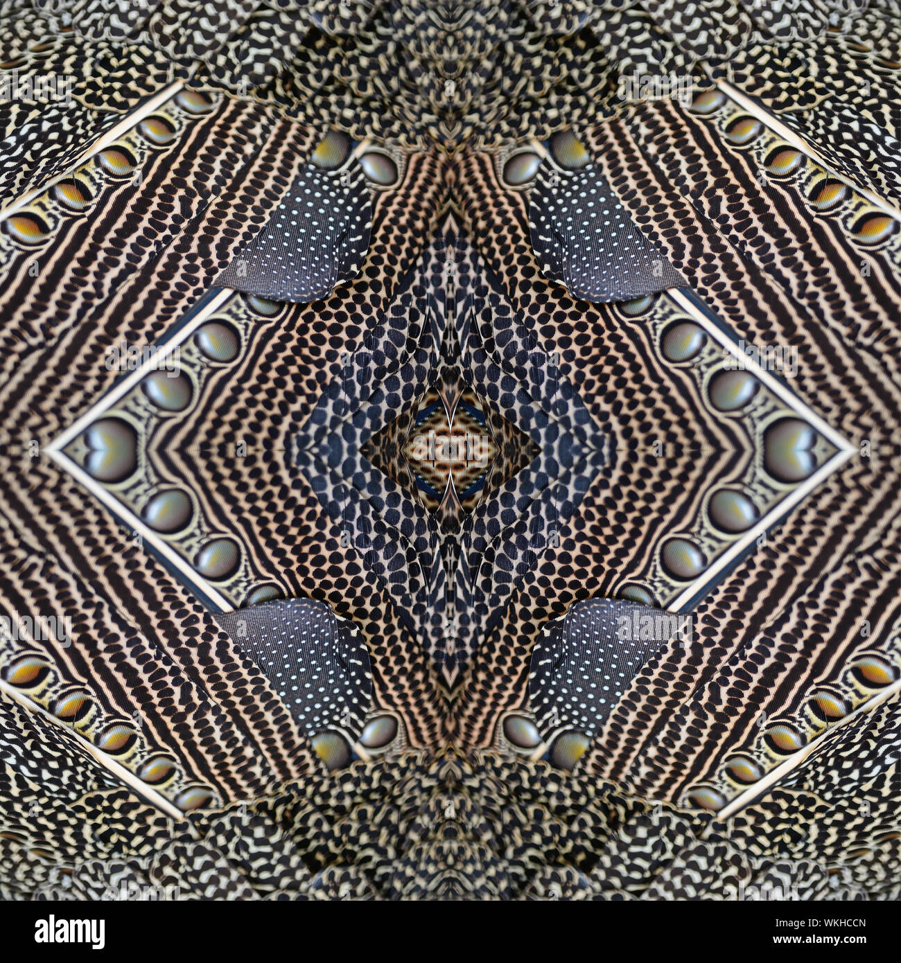 Colorful seamless pattern made from Great argus feathers Stock Photo ...