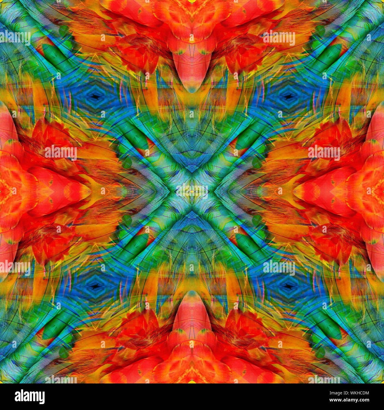 Beautiful seamless pattern made from Scarlet Macaw feathers Stock Photo ...