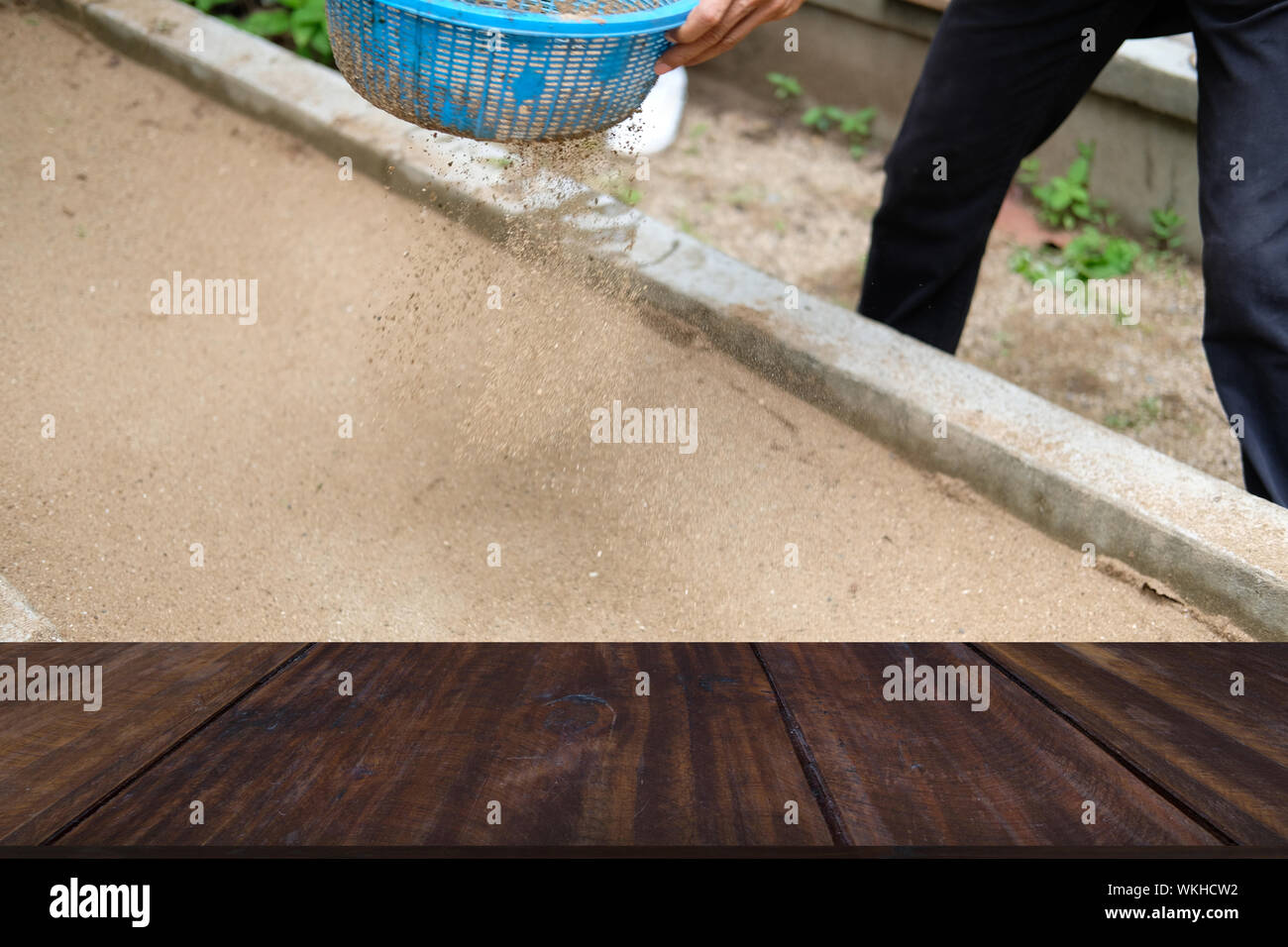 farmer pouring sand on plant bed plot after growing tree Stock Photo ...