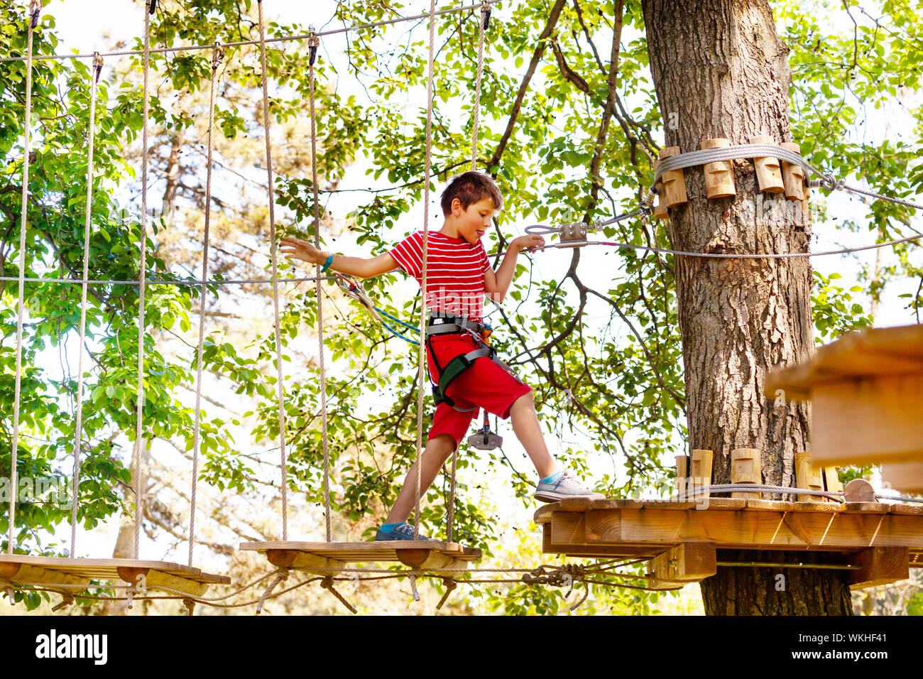 Boy walk on suspended rope bridge between trees Stock Photo - Alamy