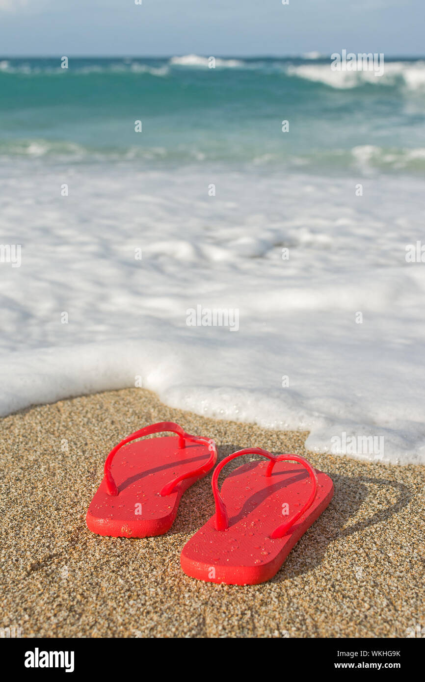 Summer concept of flip flops on a tropical beach Stock Photo - Alamy