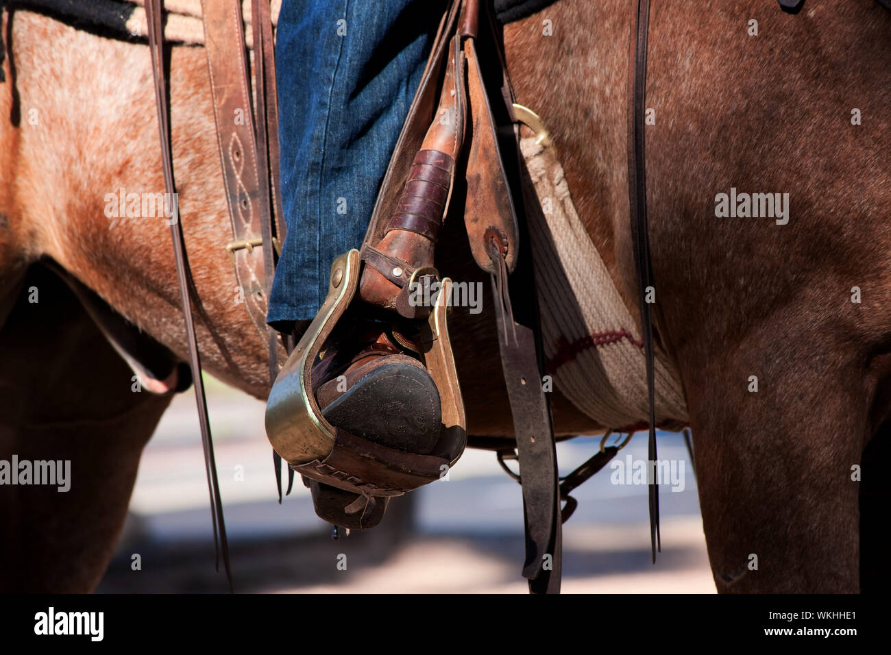 Horse rider foot in stirrup hi-res stock photography and images - Alamy