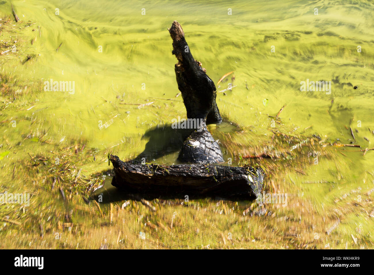 After a long dry spell, a period of heavy rain caused flooding, pushing ...