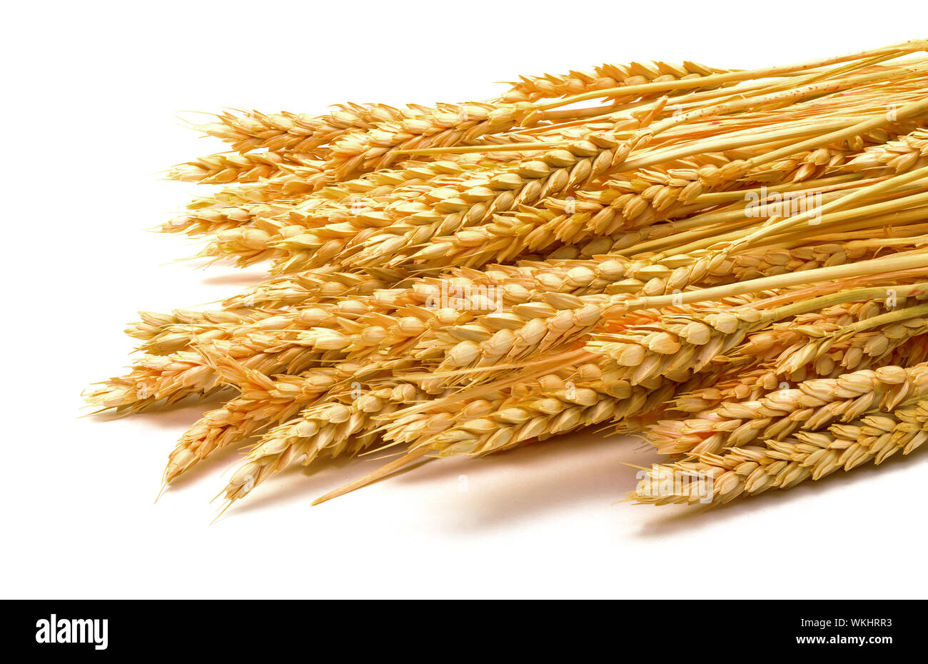 Sheaf wheat ears isolated hi-res stock photography and images - Alamy