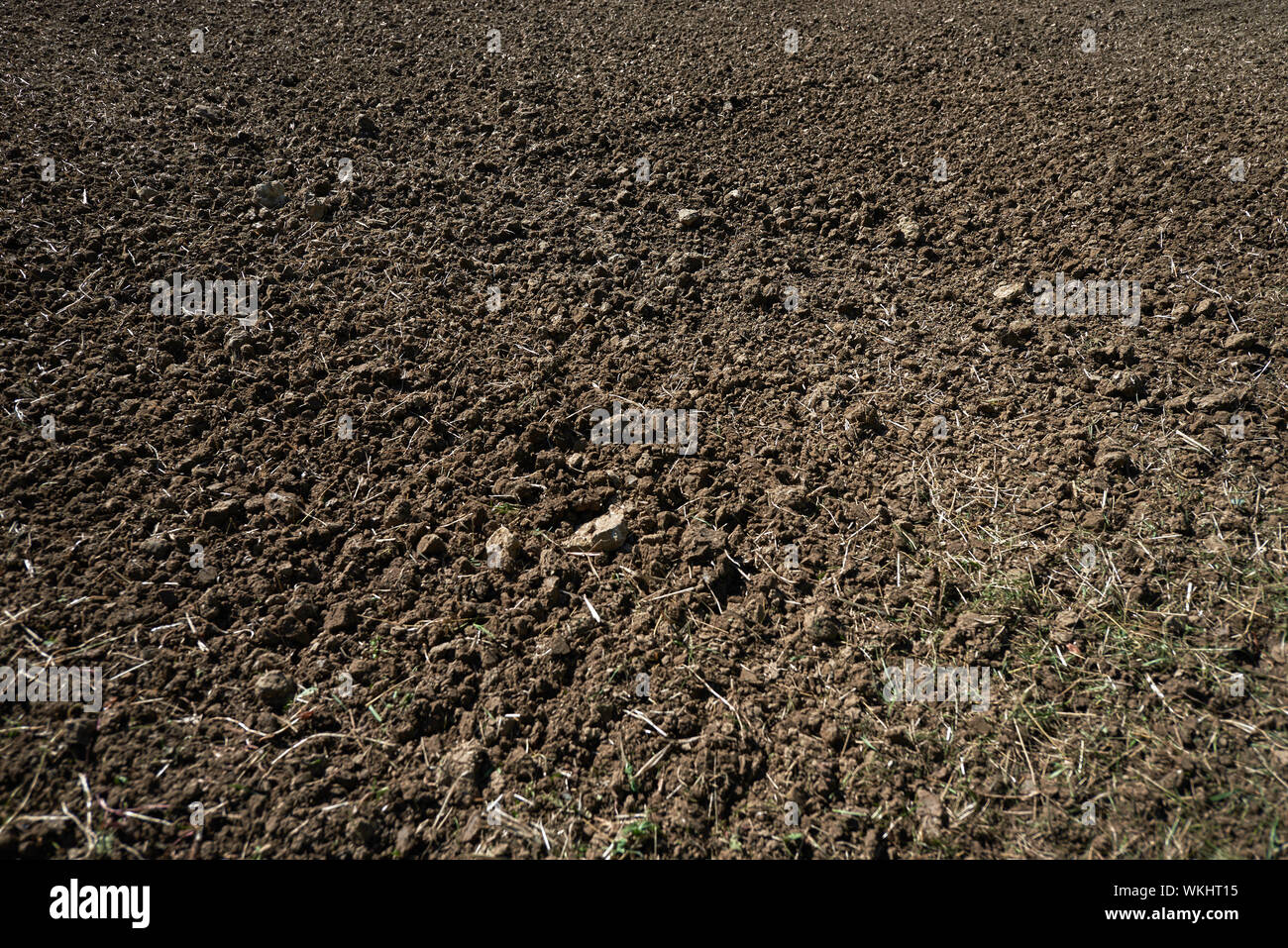 A field in Germany Stock Photo - Alamy