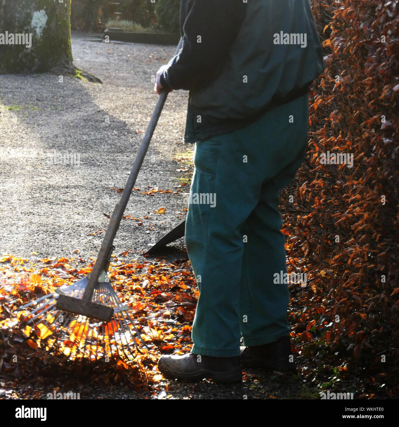 Man with rake hi-res stock photography and images - Alamy