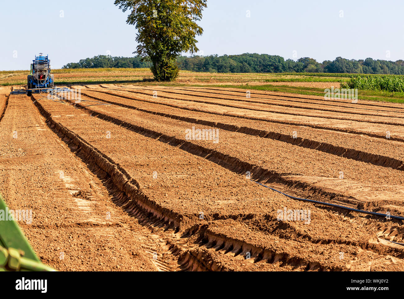 Agricultural landscape- Modern agriculture in Germany - Preparation of ...
