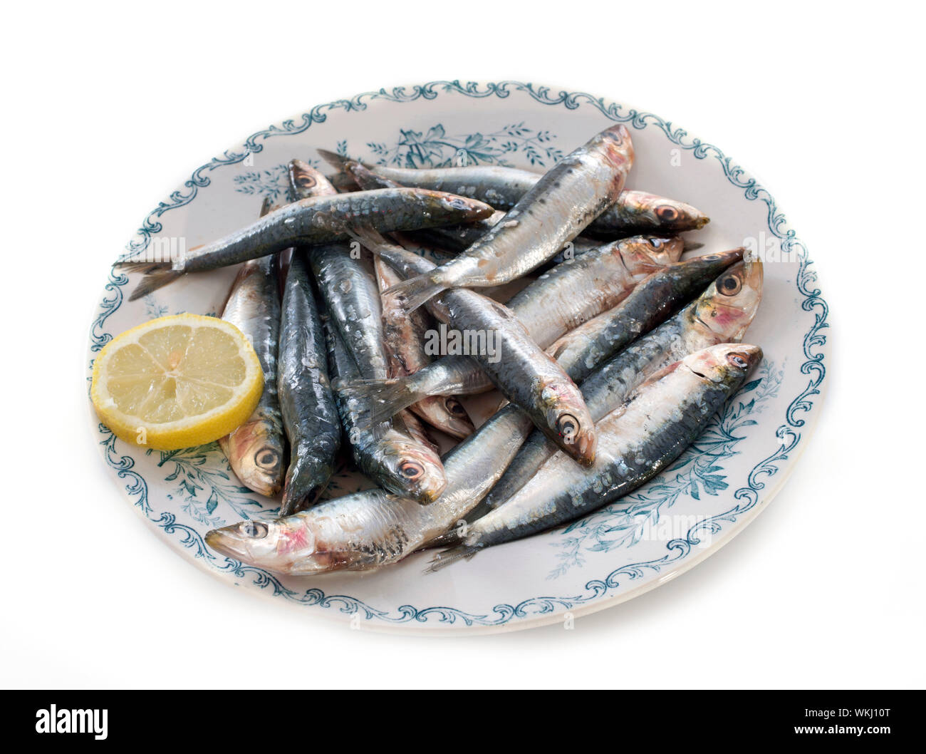 fresh sardine in front of white background Stock Photo - Alamy