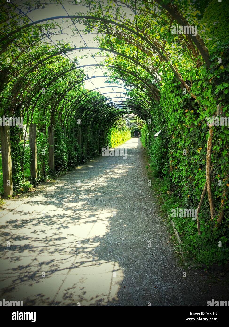 Plants covered walkway hi-res stock photography and images - Alamy