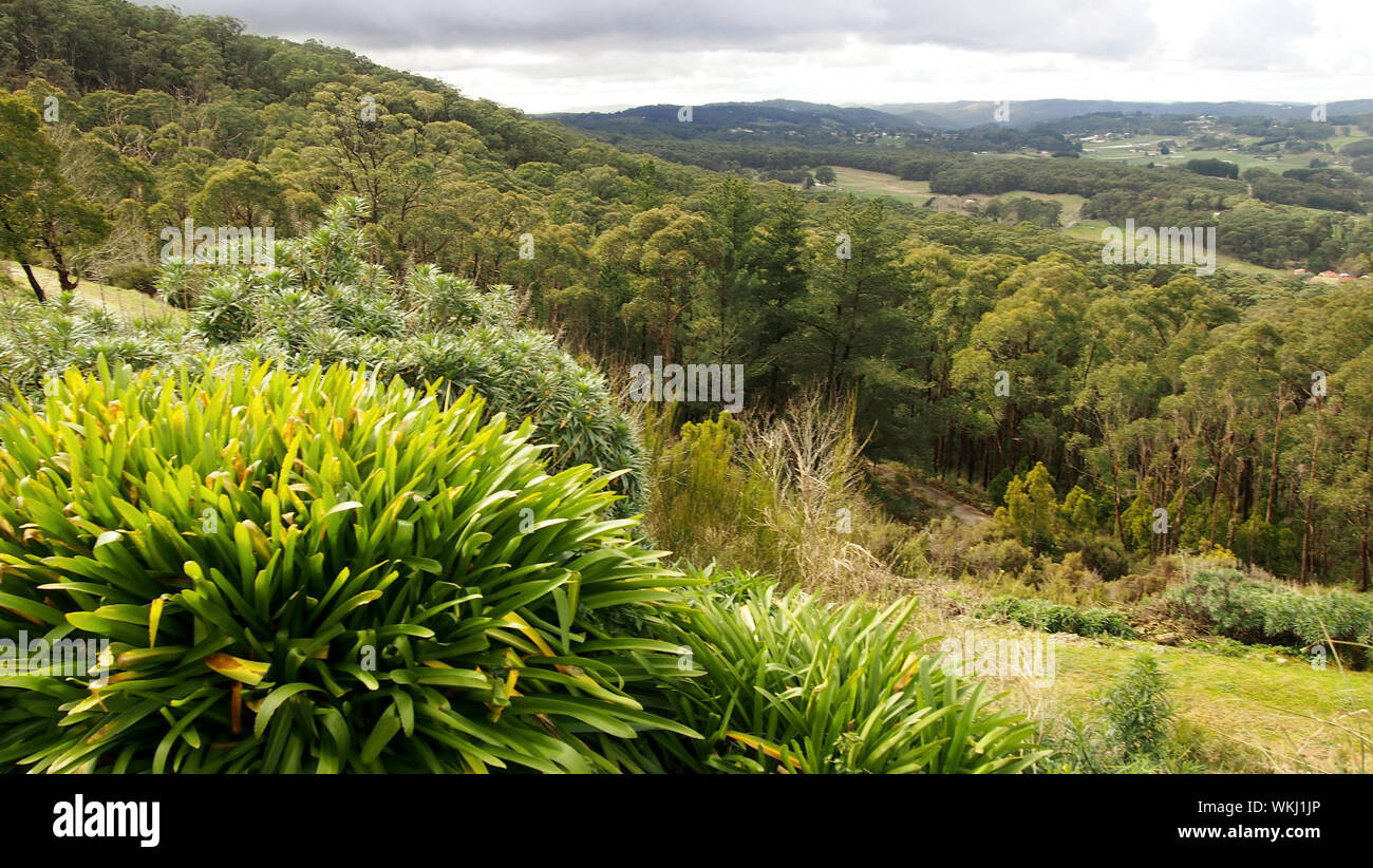 Adelaide hills scenic hi-res stock photography and images - Alamy
