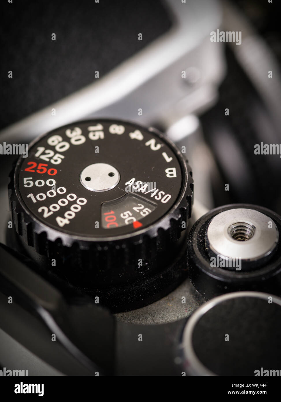 Shutter release hi-res stock photography and images - Alamy