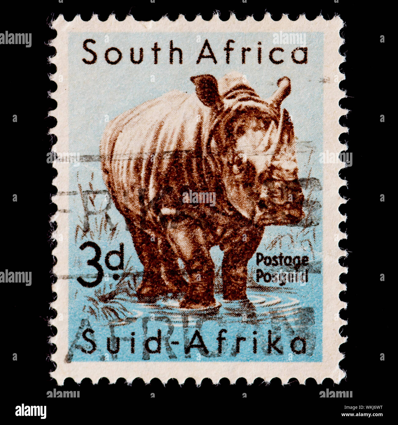 South Africa Postage Stamp - White Rhinoceros (Cerototherium simum ...