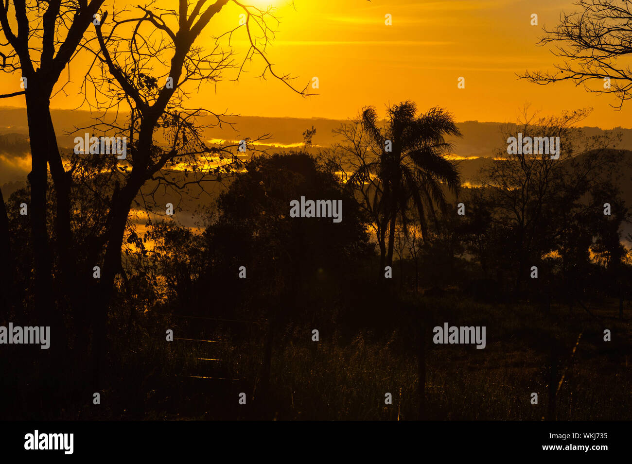 Sunrise in the region of Jaguari River Valley, Jaguari City, RS, Brazil ...