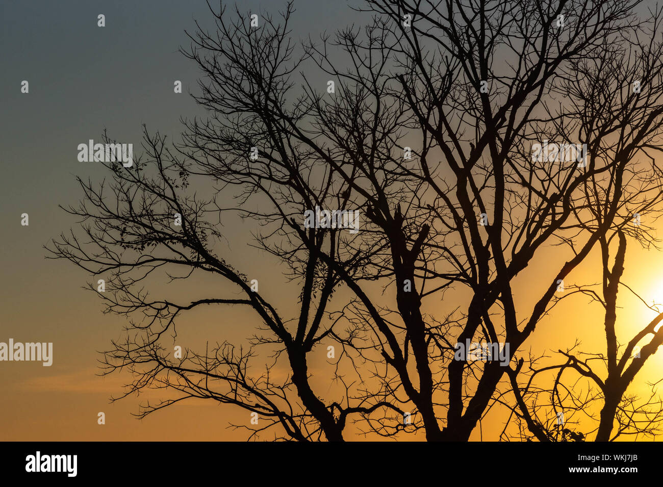 Sunrise in the region of Jaguari River Valley, Jaguari City, RS, Brazil ...