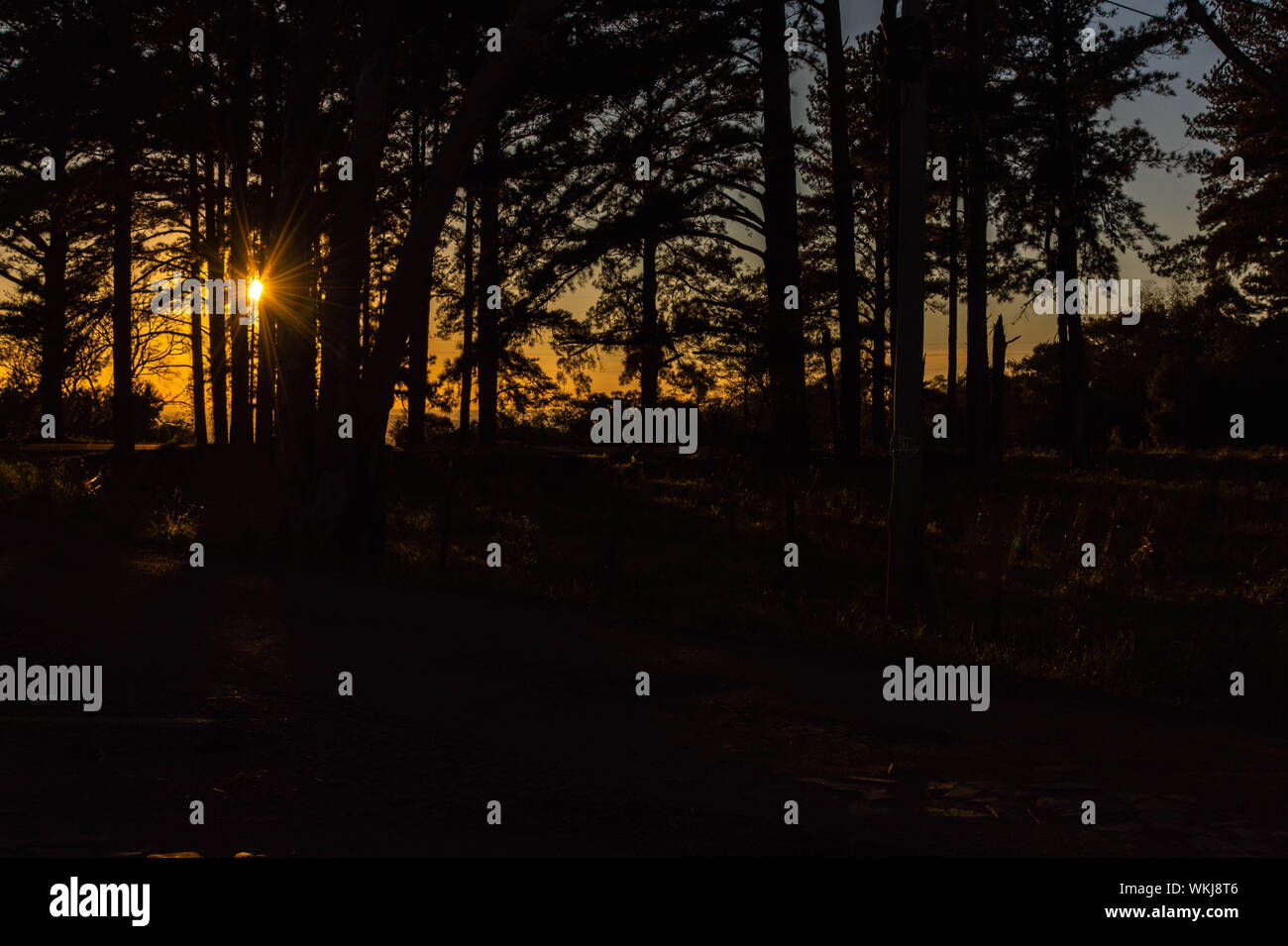 Sunrise in the region of Jaguari River Valley, Jaguari City, RS, Brazil ...