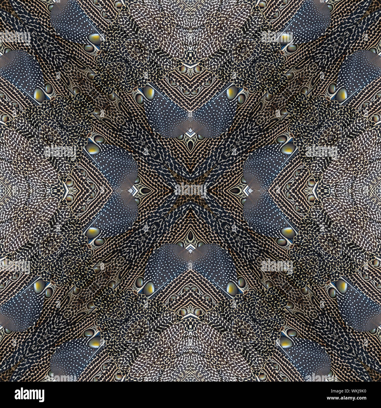 Seamless pattern made from Great argus feathers texture background ...