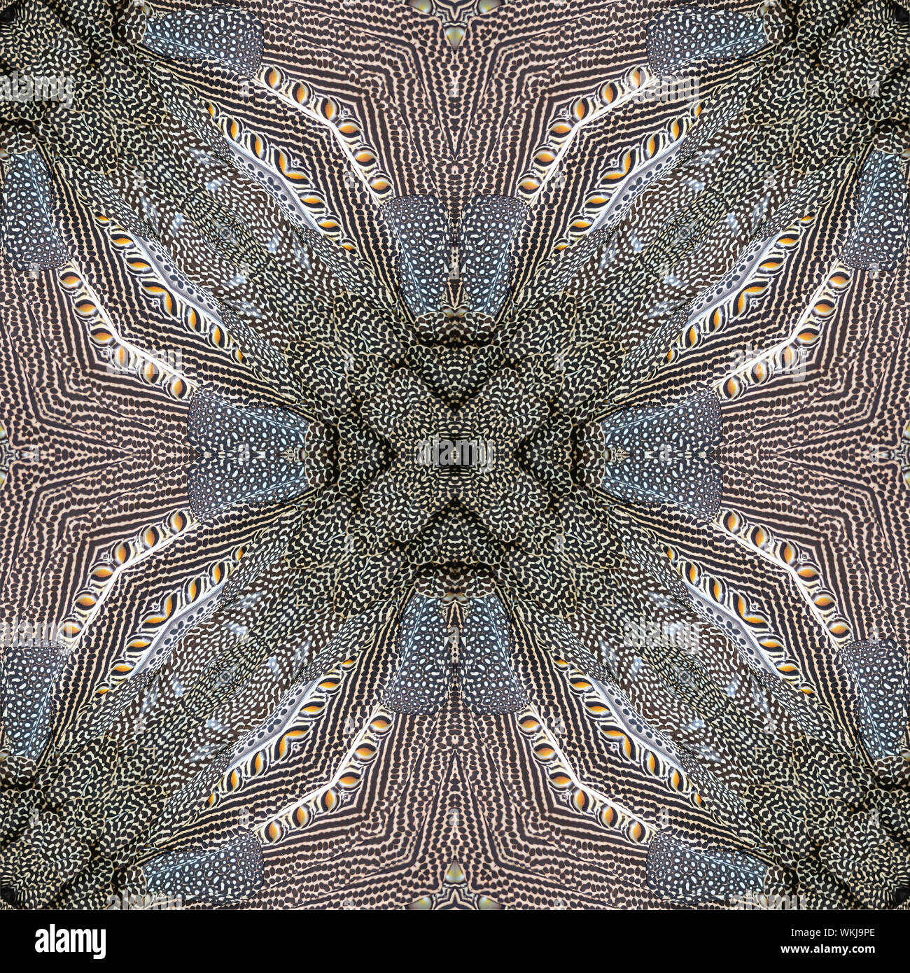 Seamless pattern made from great hi-res stock photography and images ...