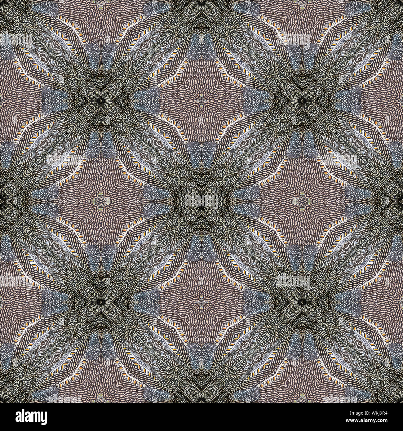 Seamless pattern made from Great argus feathers texture background ...