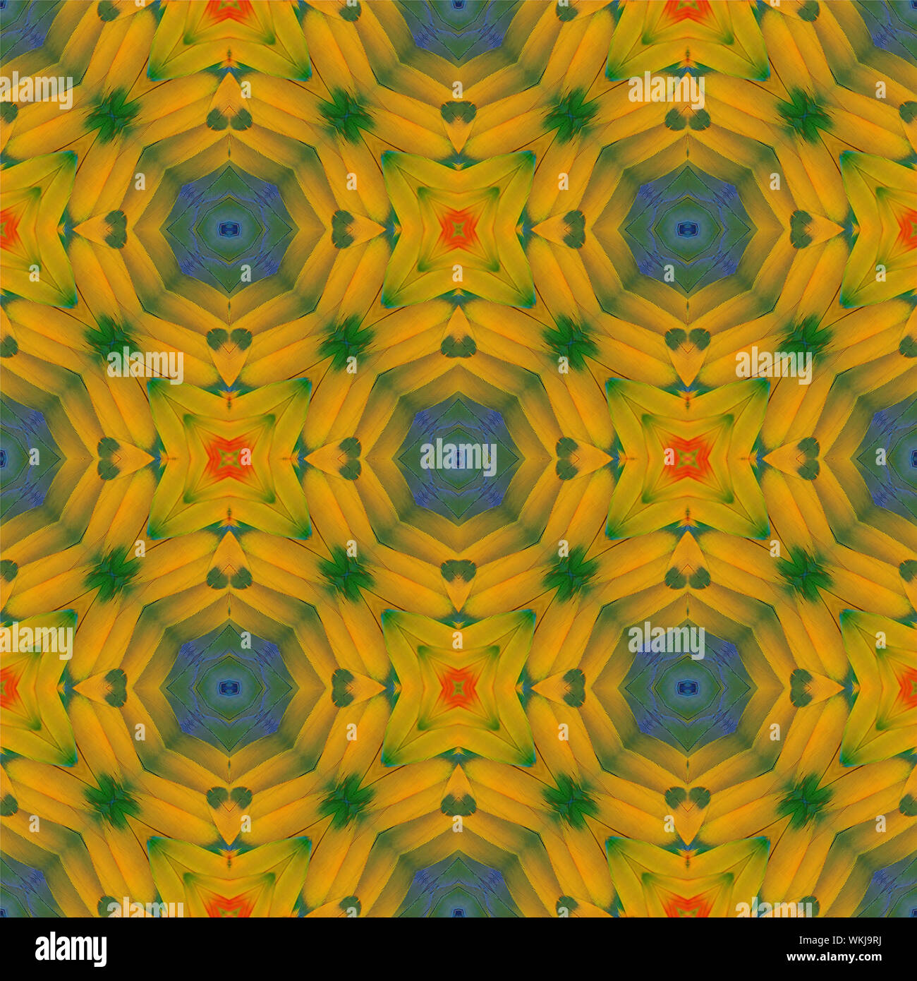 Seamless pattern made from Scarlet Macaw feathers texture background ...