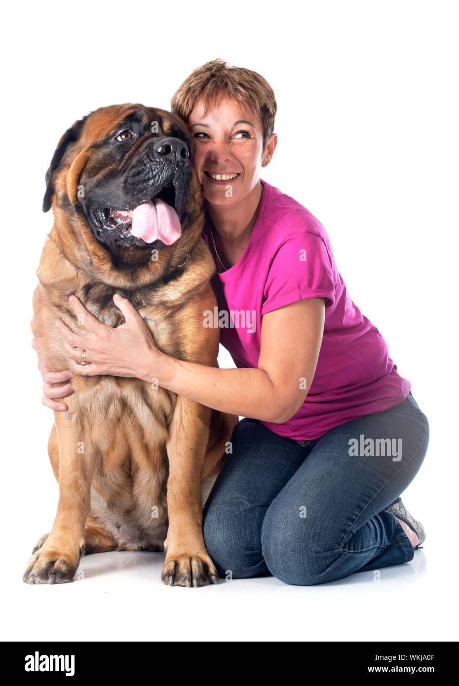 female mastiff and woman in front of white background Stock Photo - Alamy