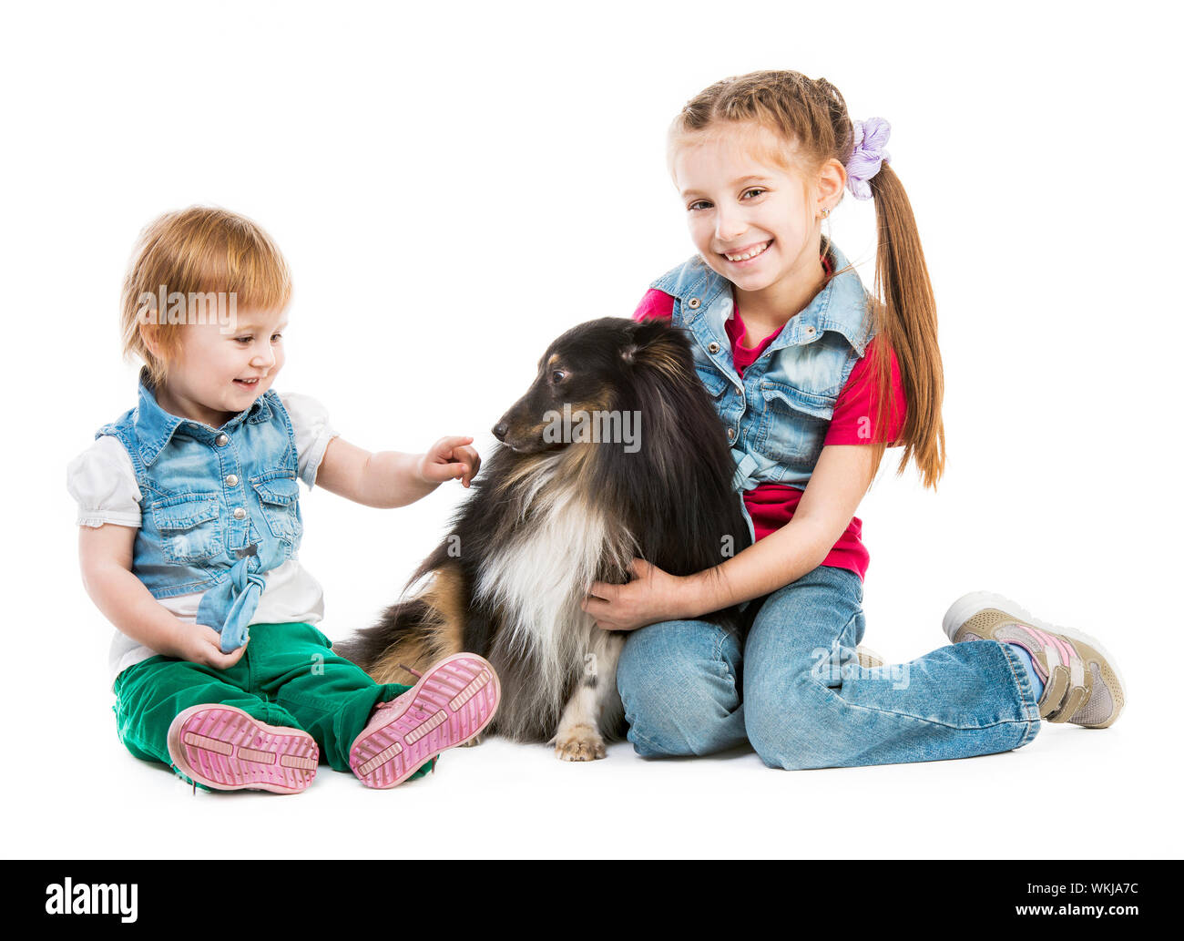 429c hi-res stock photography and images - Alamy