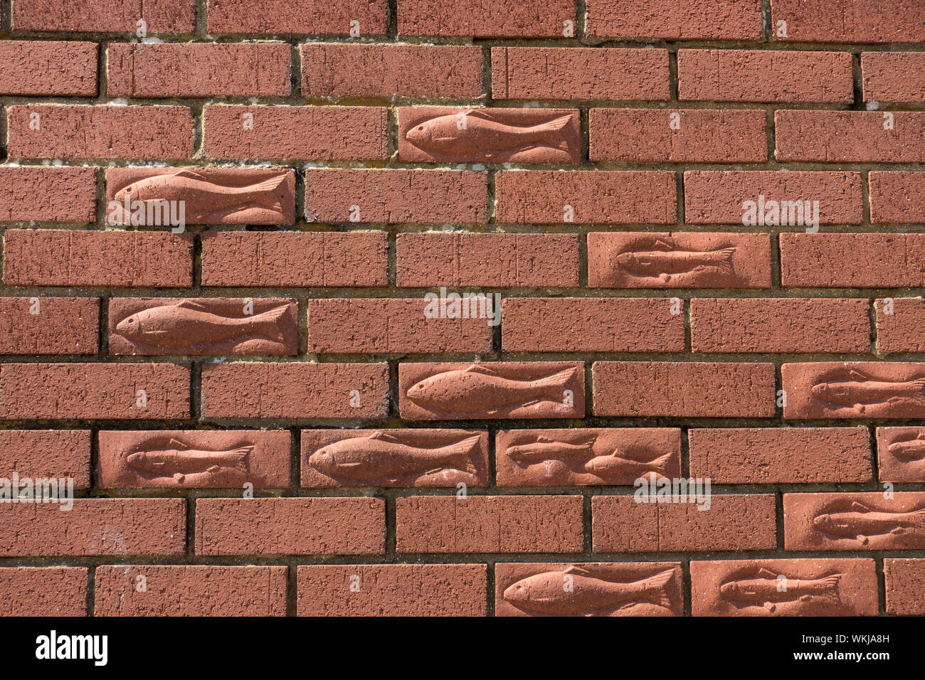 Moulded fish shapes in bricks Bridlington wall East Yorkshire 2019 ...
