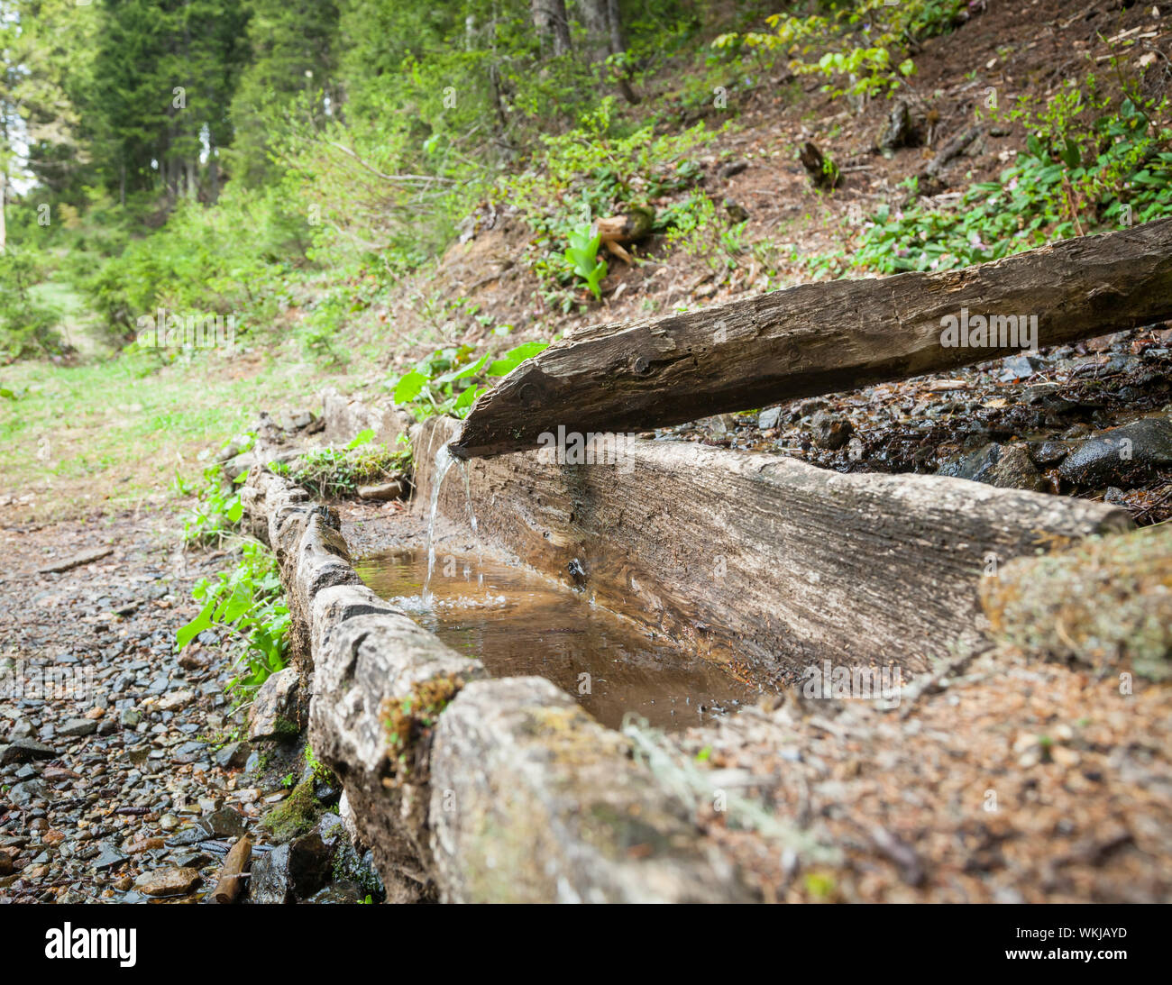 Water flowing from old wooden fountain spring at the Pontic Mountains ...