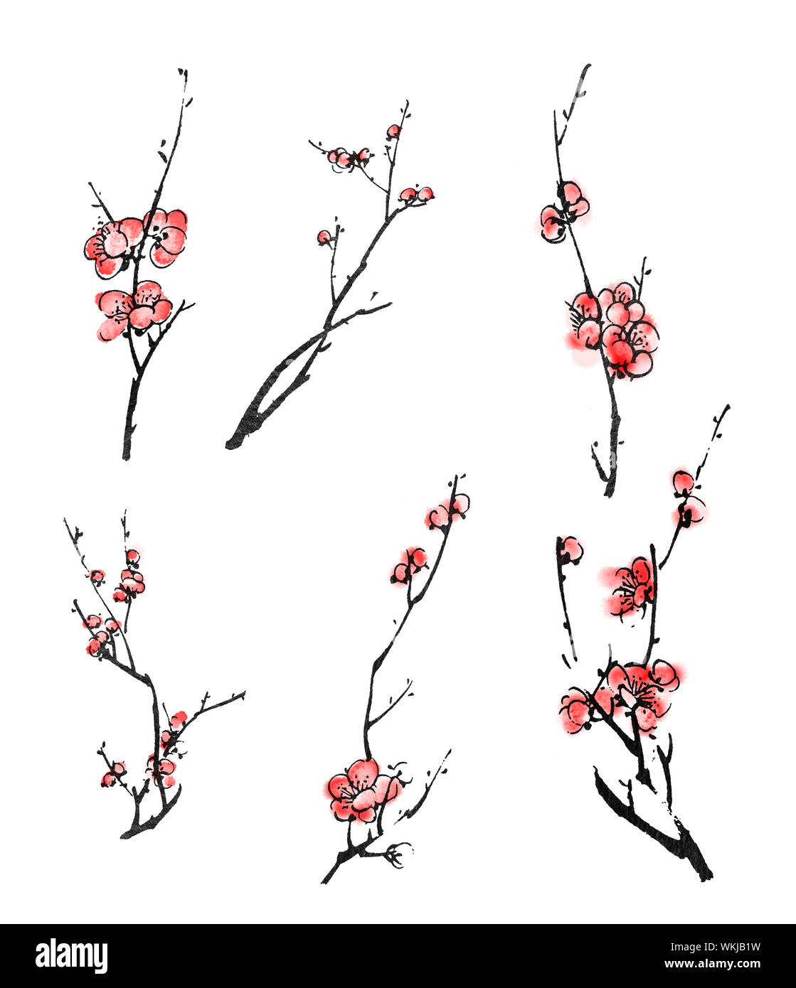Collection of Chinese ink painting, plum blossom branches on white ...