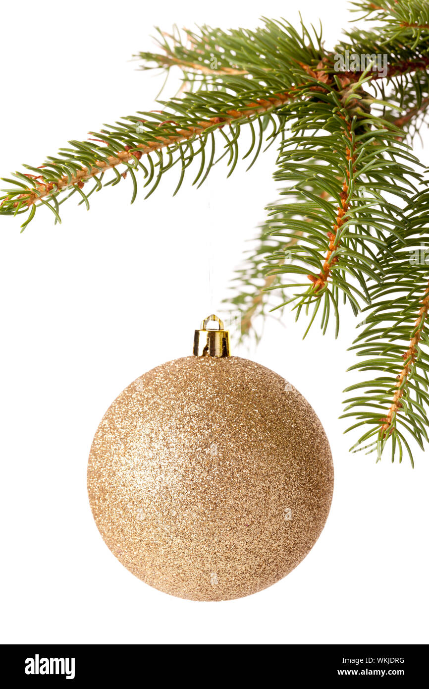 Traditional and shiny Christmas ball hanging from a branch of a green ...